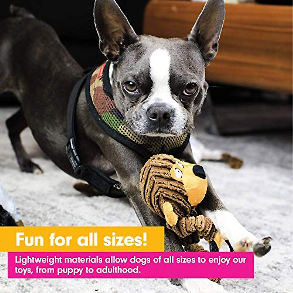 THE PET BUDS No Stuffing Dog Toy Set - 5 Pack Bundle - No Dangerous Stuffing to Chew or Swallow - 2 Squeakers Each - Big Dog Plush Toys for Small, Medium and Large Dogs - Cute Durable Squeaky Dog Toy