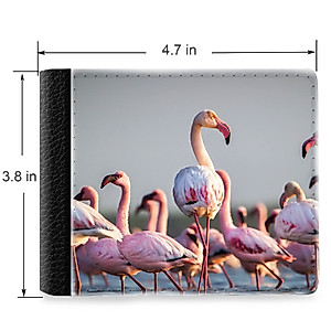 Unique Desige Pattern - Flamingo in Lake, Slim Front Pocket Wallet Billfold RFID Blocking