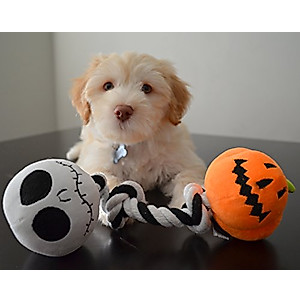 Disney Nightmare Before Christmas Pumpkin King Rope Tug Chew Dog Toy, Two Built-in Squeakers, Multi-Sensory Toy