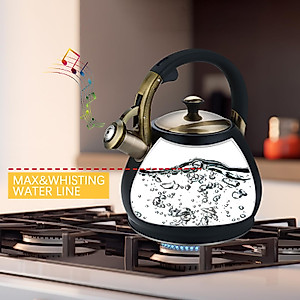 Tea Kettle Stovetop Whistling Kettle Teapot, 3Quart Tea Pot Stainless Steel Teakettle for Stove Top with Heat Proof Ergonomic Handle