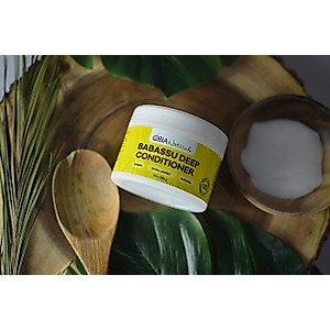 OBIA Naturals Deep Conditioner - Babassu Oil, 8 fluid ounces - Moisturizing, Protein-Free, Repairs Dry, Damaged, Textured, Curly, Natural Hair - Sulfate-Free, Vegan