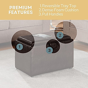 Convenience Concepts Designs4Comfort Accent Storage Ottoman 22.75" - Modern Foot Stool with Decorative Tray for Living Room, Dining Room, Office, Den, Espresso Faux Leather