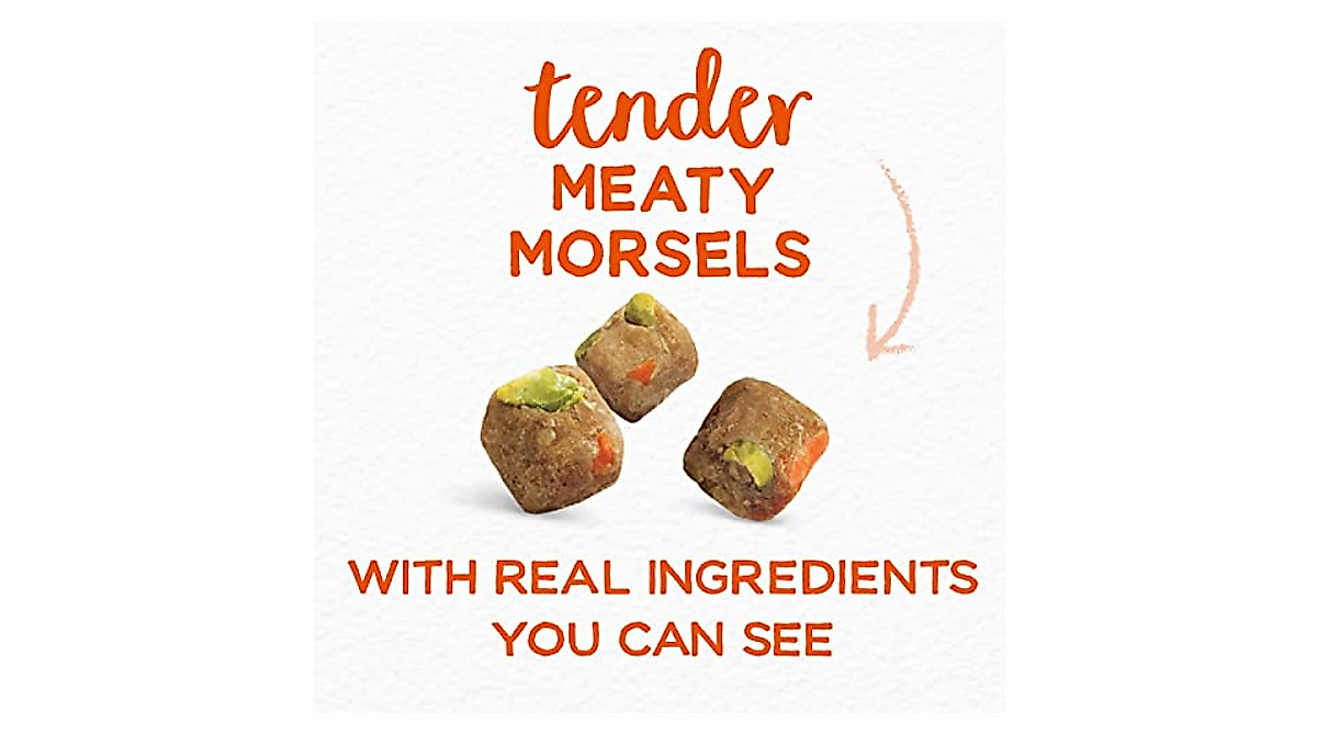 Purina Beneful Dry Dog Food - Farm-Raised Chicken & Wholesome Nutrition