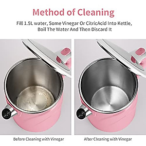 MEISON Electric Kettle, 1.7 L Double Wall Food Grade Stainless Steel Interior Water Boiler, Coffee Pot & Tea Kettle, Auto Shut-Off and Boil-Dry Protection, 1200W, 2 Year Warranty(Pink)