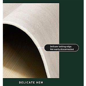 100 Dollar Bill Rug Art Money Carpet Cozy Soft Bedroom Carpets Living Mat Decoration Bathroom Be Absorbent Rug Rugs Room Door Mat (E, 23.6 * 35.4 in)