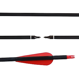 FENJANER Archery 30inch Carbon Arrow Spine 500 Practice Hunting Arrows with Removable Tips for Compound Bow and Recurve Bow (Pack of 12) (Red)