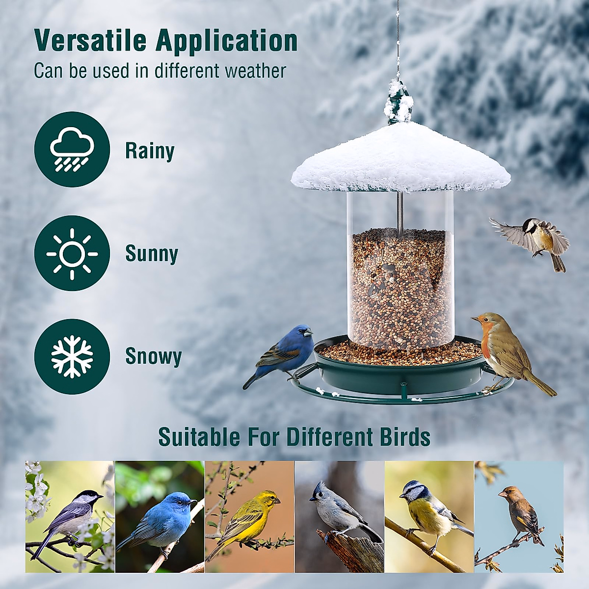Bird Feeder for Outdoors, Small Bird Feeder, Holds 1.50LB Seeds, Suitable for Small Seed Grains, Metal Bird Feeder for Outdoors Hanging
