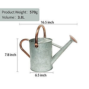 yourjoy Metal Watering Can, One Gallon Watering Cans Stainless Steel for Outdoor Indoor Garden Plants Watering (Zinc 1 Gallon)