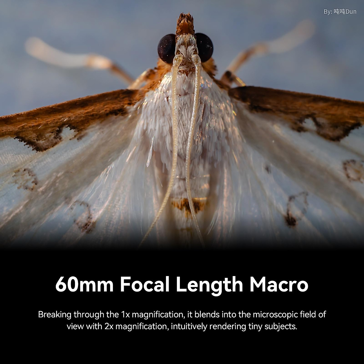 Brightin Star 60mm F2.8 2X Macro Magnification Manual Focus Mirrorless Camera Lens, Fit for Panasonic LUMIX Olympus Micro4/3 G7, G85, GX9, G7KS, EPM1/2, EM1, E-P1/P2/P3/P5, PL 1/2/3/5/6, G2/3/5/6