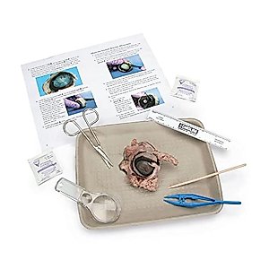 Young Scientist's Eye Dissection Kit