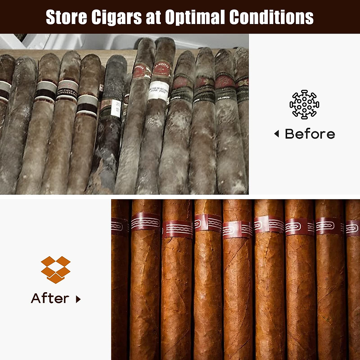 Glass Top Cedar Humidor with Front Hygrometer, Humidifier, Divider, and Accessory Drawer, Desktop Cedar Wood Cigar Box Holds 20-30 Cigars, Cigar Accessories for Men