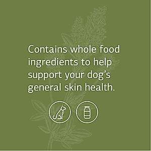 Standard Process Canine Dermal Support - Skin & Adrenal Gland Support Supplement - Comprehensive Skin Health Support Supplement for Dogs - Daily Immune & Liver Support Powder - 125 g