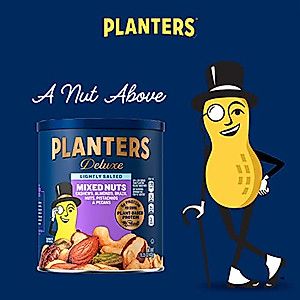 PLANTERS Deluxe Lightly Salted Mixed Nuts, Party Snacks, Plant-Based Protein 15.25oz (1 Canister)