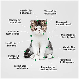 The Cat Ladies Cat Grass Kit (Organic) with Rustic Wood Planter, Seed and Soil. Easy to Grow for Indoor or Outdoor Cats, Dogs and Other Pets. Prevent Hairballs and Aid Digestion