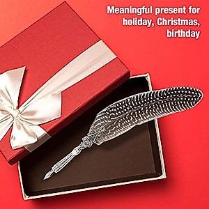 Hilitand Feather Quill Pen Vintage European Antique Sign Pen Set Calligraphy Writing Quill Pen for Stationery Gift(04#)