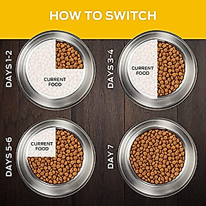 Purina Pro Plan Veterinary Diets NC NeuroCare Canine Formula Dry Dog Food - 6 lb. Bag