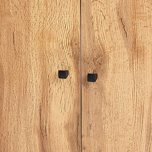 Baxton Studio Rossin Shoe Cabinets, Oak/Black