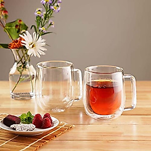 Brod & Taylor Double-Wall Insulated Glass Coffee/Tea Mugs (Set of 2, 10oz / 300ml)