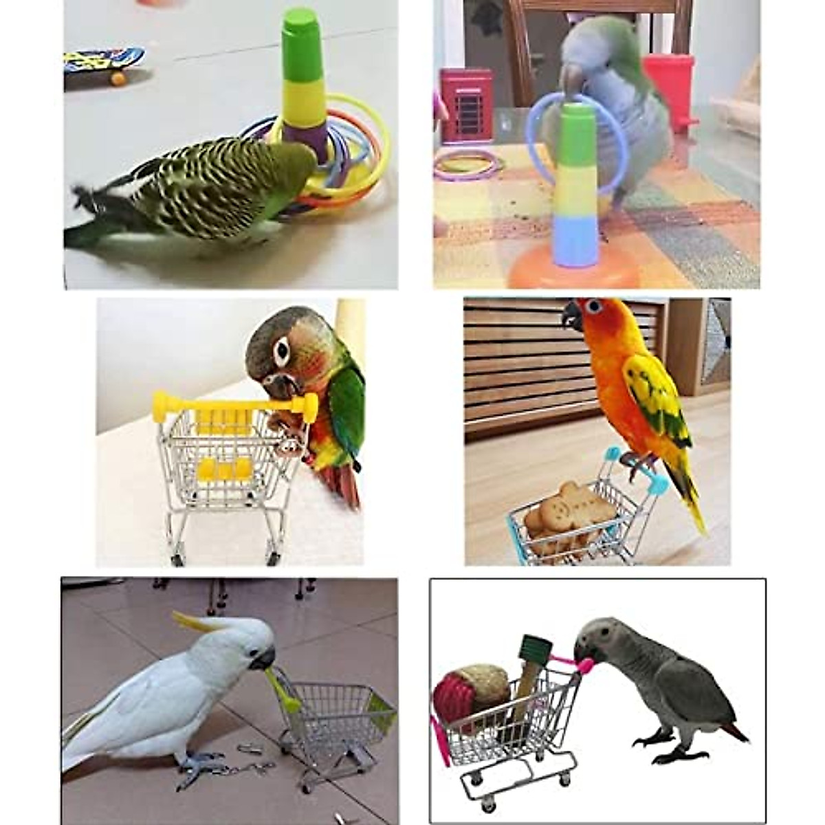 ActionEliters Bird Toys for Parakeets, 6pcs Parrot Toys Set with Bird Basketball Toy, Bird Skateboard, Bird Trolley, Bird Ring Bucket Toys, Parakeet Toys for Bird Training Toys