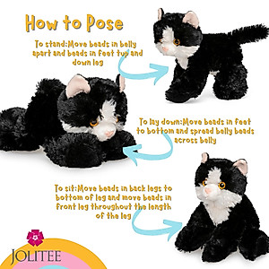 Jolitee Kitten Cat Collection Small Plush Stuffed Animal 8 inch (Tuxedo)