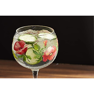 Ginology Poppies Copa Gin Glass