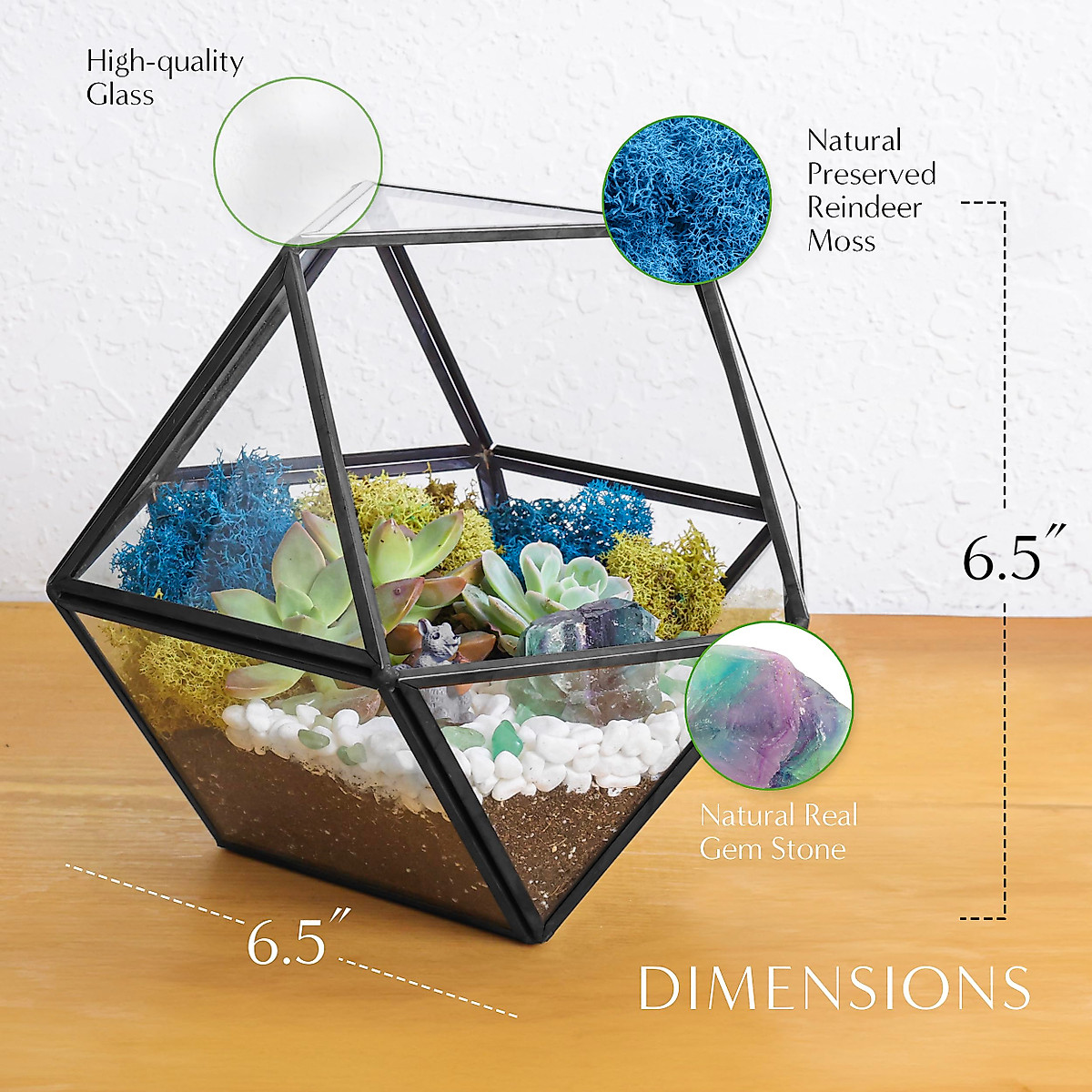 7” DIY Succulent Terrarium Kit with Live Plants, Decorative Rocks, Moss, Healing Crystals, Figurine, Tools & Geometric Glass Terrarium Décor