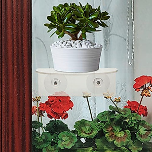 GANAZONO 1 Set Plant Support Plant Shelf Bonsai Stand Indoor Plant Pot Clear Plant Pot Wall Mount Floating Shelf Suction Cup Pot Racks Practical Plant Holders Suction Cup Plant Holders