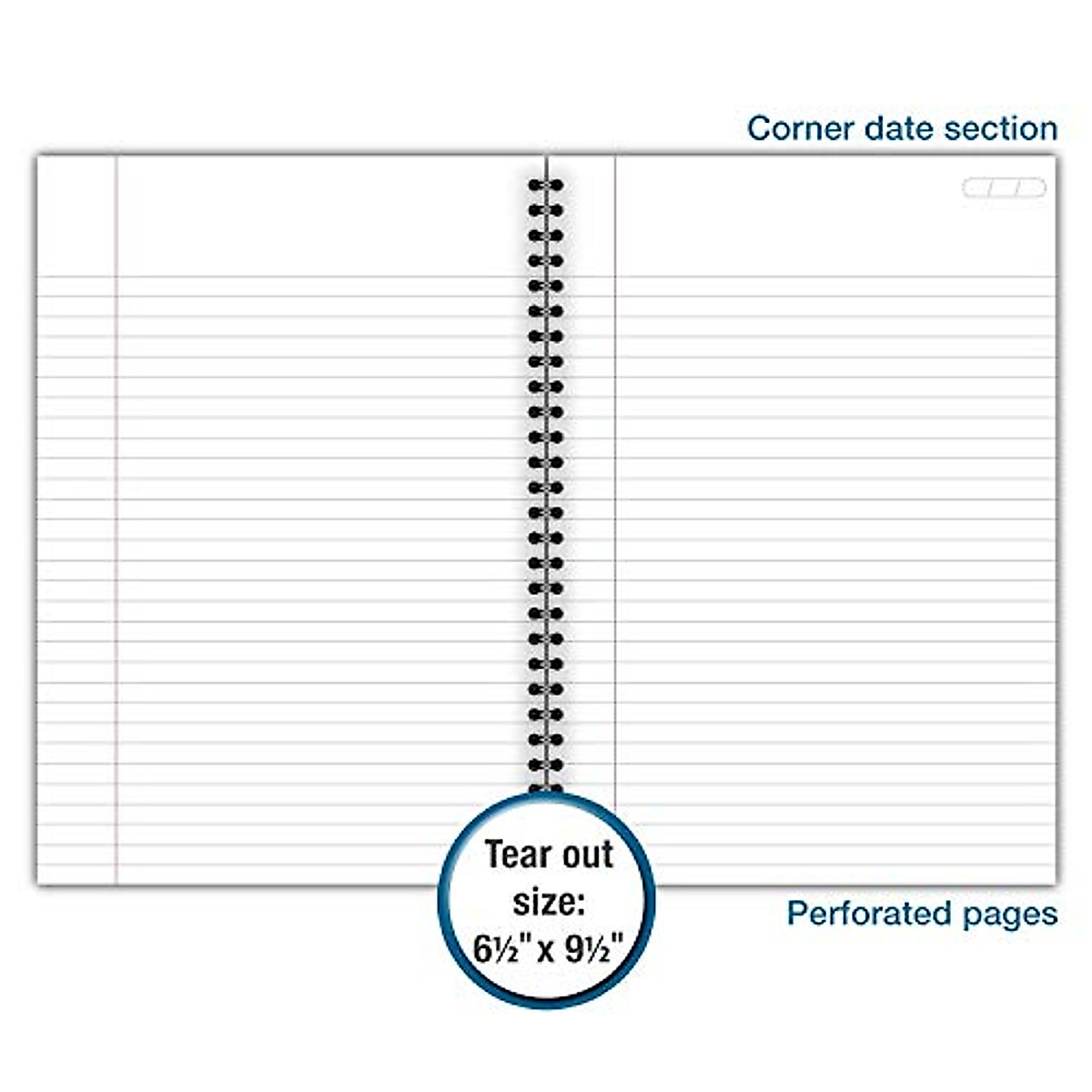 Cambridge Limited Business Notebook, Legal Ruled,6-5/8" x 9-1/2" Page Size, 80 Sheets , Wirebound, Gray (06672)