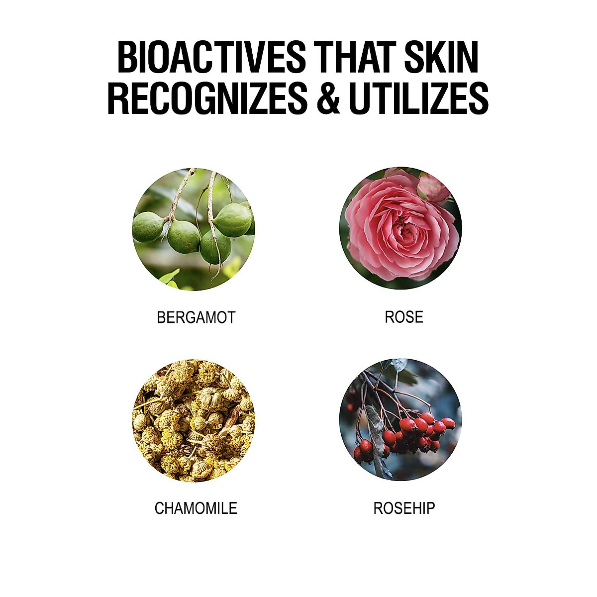 Grown Alchemist Refillable Body Cleanser Bundle Kit: Chamomile, Bergamot, Rose. Gentle Body Wash that Hydrates and Cleanses Skin