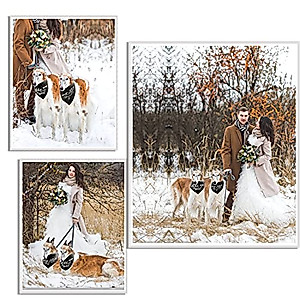 GOUWANGWANG Engagement Gift, My Humans are Getting Married Dog Bandana, Wedding Dog Bandana, Pet Scarf for Small, Medium, Large Dogs 2 Strip (White)