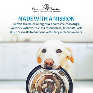 Canine Caviar Special Needs Dog Food – Limited Ingredient Alkaline Holistic Dog Food – Gluten Free, Premium for Older & Sensitive Stomach Dogs – for Skin & Coat – Chicken & Brown Rice – 4.4 lbs