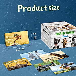 Fun Animal Motivational Quote Cards 360 Counts Encouragement Inspirational Kindness Appreciation Gratitude Business Cards Size Kindness Cards Gifts for Employees Students Teachers Kids…