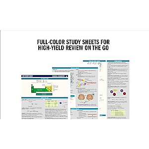 DAT Prep Plus 2023-2024: 2 Practice Tests + Proven Strategies + Online (Kaplan Test Prep)