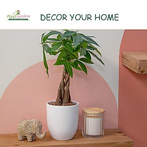 Pixies Gardens New Platic Artificial Flower Bonsai Tree Pot Culture Miniature Tree for Office Desk Home Living Room Furnishings Decorative (Fuchsia)