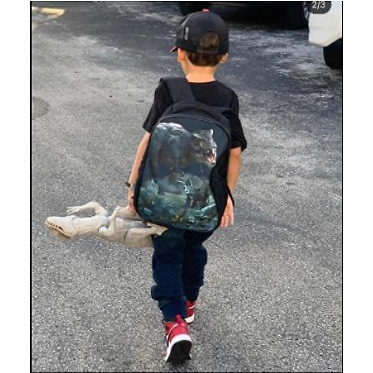 Dinosaur School Bag Rucksack Backpack (Dinosaur 5 14 Inch)