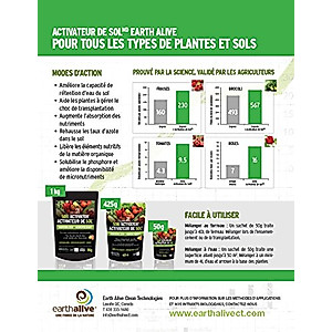 Soil Activator (50g)