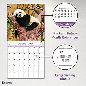 Super Cute 18 Month Baby Animals Wall Calendar 2023-2024. Big 12x12 Inch Novelty Gift With Puppies, Kittens and More. Great for Men, Women or Kids. Perfect Stocking Stuffer or Decor for Animal Lovers.