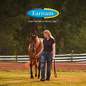 Farnam Next Level Horse Joint Supplement for Horses & Dogs, Helps Maintain Connective Tissue to Ease Joint Stiffness Due to Daily Activity, 32 oz, 32 Day Supply