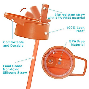 STACEGEELE Insulated Vacuum Water Bottle for Kids with Straw Lid Stainless Steel Flask Thermos for Boys and Girls Leak Proof Lightweight Eco Friendly 18oz(550ml), Orangeade