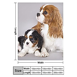 Cavalier King Charles Spaniel, Fleece Blanket Ultra-Soft Cozy Plush Blanket Throw Blankets Couch Chair Living Room Air Conditioning Cool Blankets, 50"*60"
