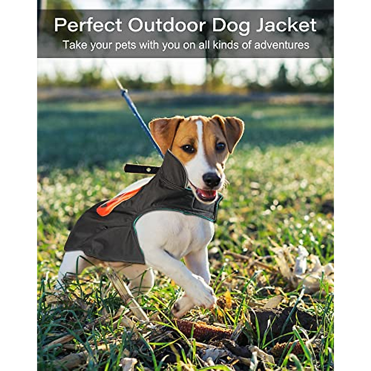 Dog Halloween Costumes for Large Medium Small Dogs, Reversible Waterproof Dog Clothes for Christmas, Cold Weather Coat Windproof, Anxiety Dog Vest for Outdoor Winter