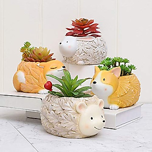 Happyyami Ceramic Animals Succulent Plant Pot Resin Hedgehog Cactus Flower Container Bonsai Planter Holder for Home Office Garden Decor
