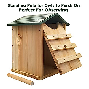 Prolee Screech Owl House Hand Made 14 x 10 Inch 100% Cedar Wood Owl Box with Mounting Screws, Easy Assembly Required (Bird Stand Design)