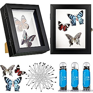 2 Pcs Insect Display Case Collection Shadow Boxes Butterfly Box with Clear Top EVA Foam Pinning Board and 300 Pcs 3 Sizes Insect Pins Insect Pinning Kit for Specimen, 7.87 x 6.3 x 2.05 Inch (Black)