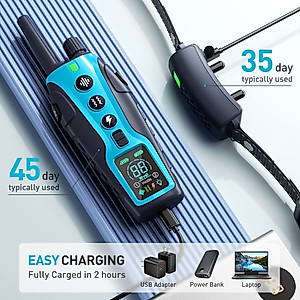 Nikketta Dog Shock Collar with Flashing Light for Night Walks,Dog Training Collar with Adjustable Pitch Beep,Vibration,Shock and Keypad Lock,Dog Training Collar with Remote 4000FT,Cyan-Blue