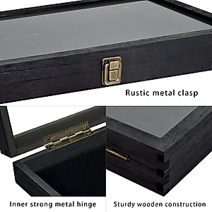 MOOCA Natural Wood Tempered Glass Top Jewelry Display Case Accessories Storage Box with Metal Clasp & Removable 24 Compartment Flocked Tray Liner, Wooden Jewelry Tray for Collectibles, Black