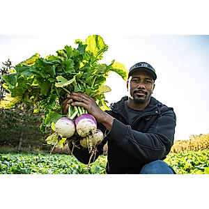 Domain Outdoor Big Sexy Food Plot Seed for Deer, 1/2 Acre, Turnip, Radish, Kale and Forage Rape, High Level of Nutrients & Protein to Support Antler Growth and Health, Fast Germination, Easy to Plant