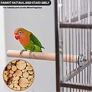 PINVNBY Bird Perch,Parrot Perches Stand Natural Peach Wood Fork Parakeet Birdcage Paw Climbing Stands Cage Toy Accessories for Conures,Lovebirds,Budgies,Cockatiels and Finches(10 Pcs)