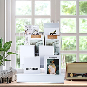 Sintuff Book Display Rack 4-Tiered Book Display Stand 18" Book Signing Wire Rack Tabletop Cd Display Countertop Comic Book Magazine Rack for Library Classroom Picture Literature Brochure(White)