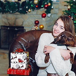 MAYPLUSS Reversible Christmas Wrapping Paper - 17 Inch X 33 Feet - Creative Red Santa Claus Riding a Sleigh Delivering Presents with Metallic Foil Design Winter Gift Wrap Paper for Holiday, New Year